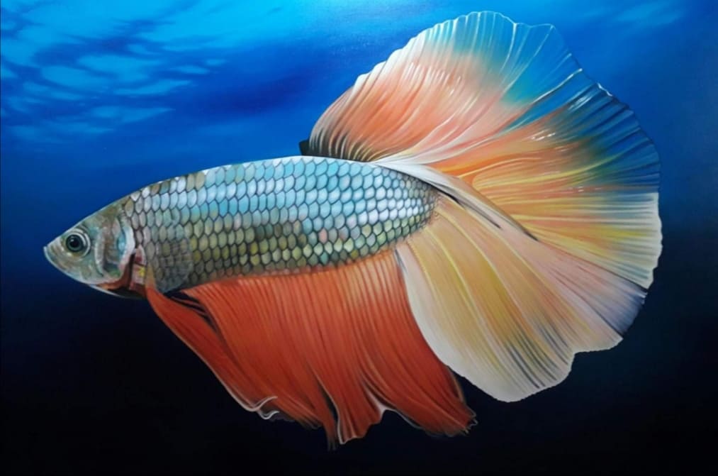 Obras – Nuno Fernándes