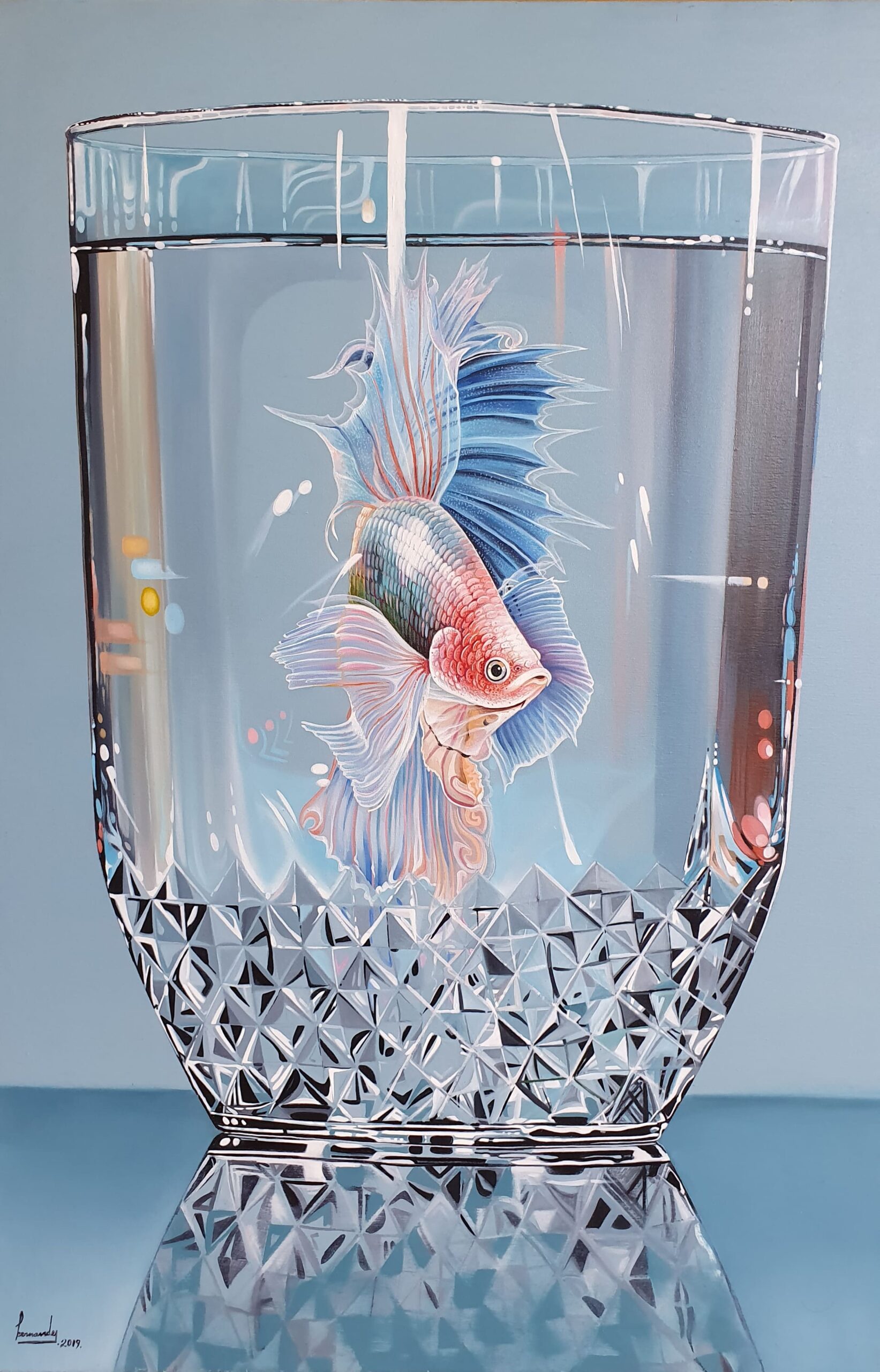 Obras – Nuno Fernándes